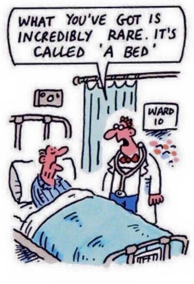 rare bed – Sunday Mass: Saturday 4pm, Sunday 10am